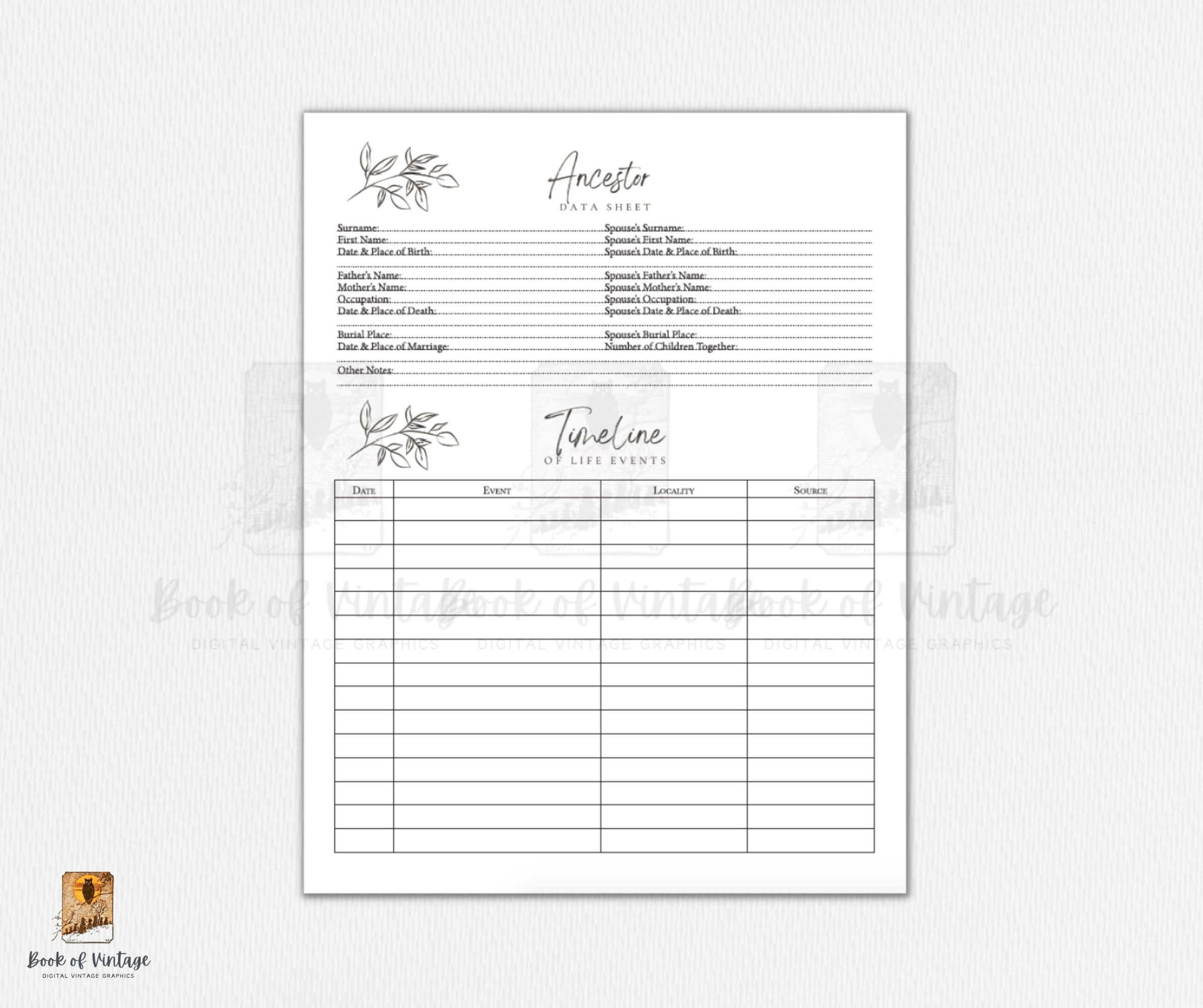 Ancestor Stories Timeline and Story Telling Printable Data Sheet ...