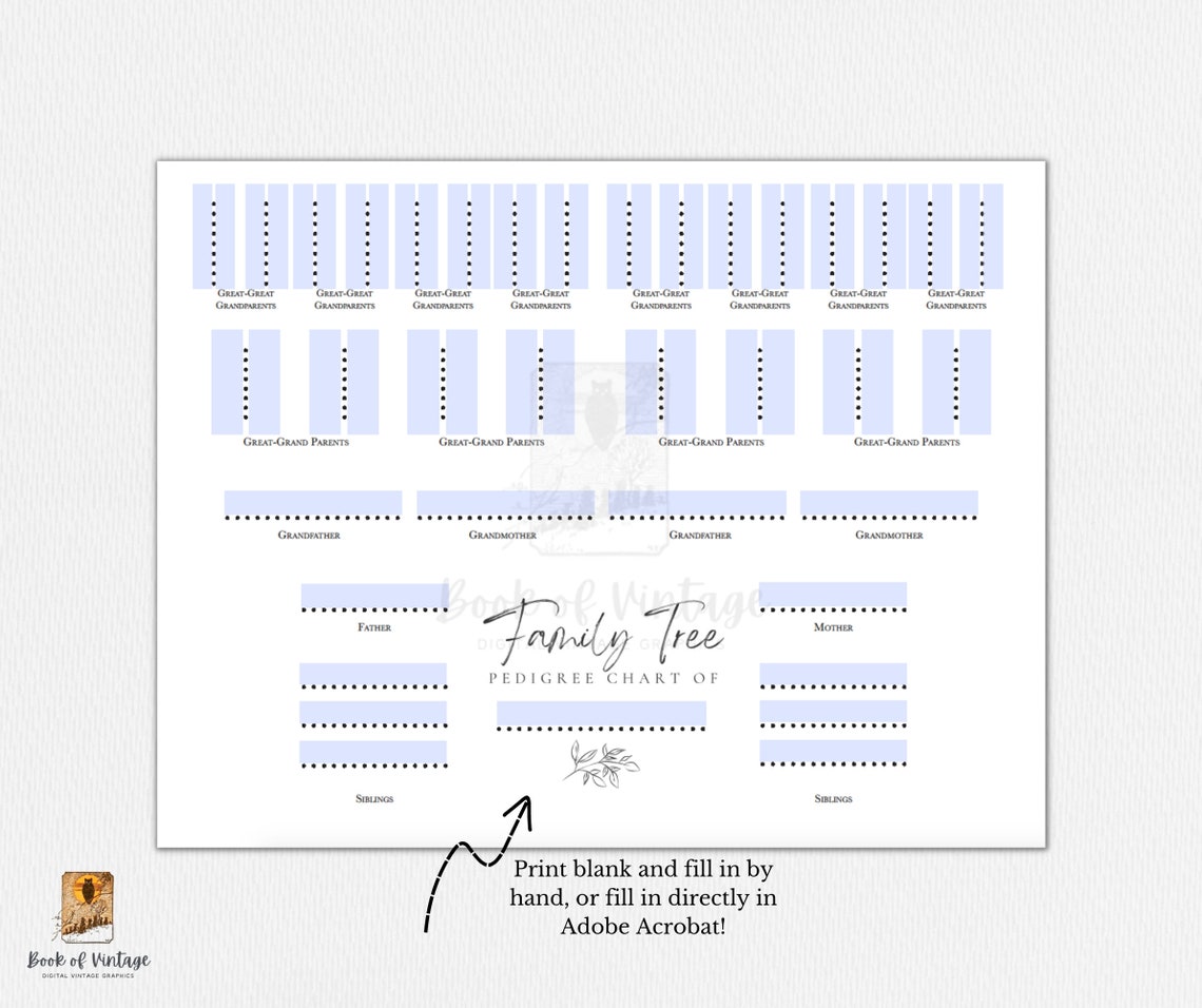 2 Fillable 5 Generation Family Tree Chart With Modern Design for ...