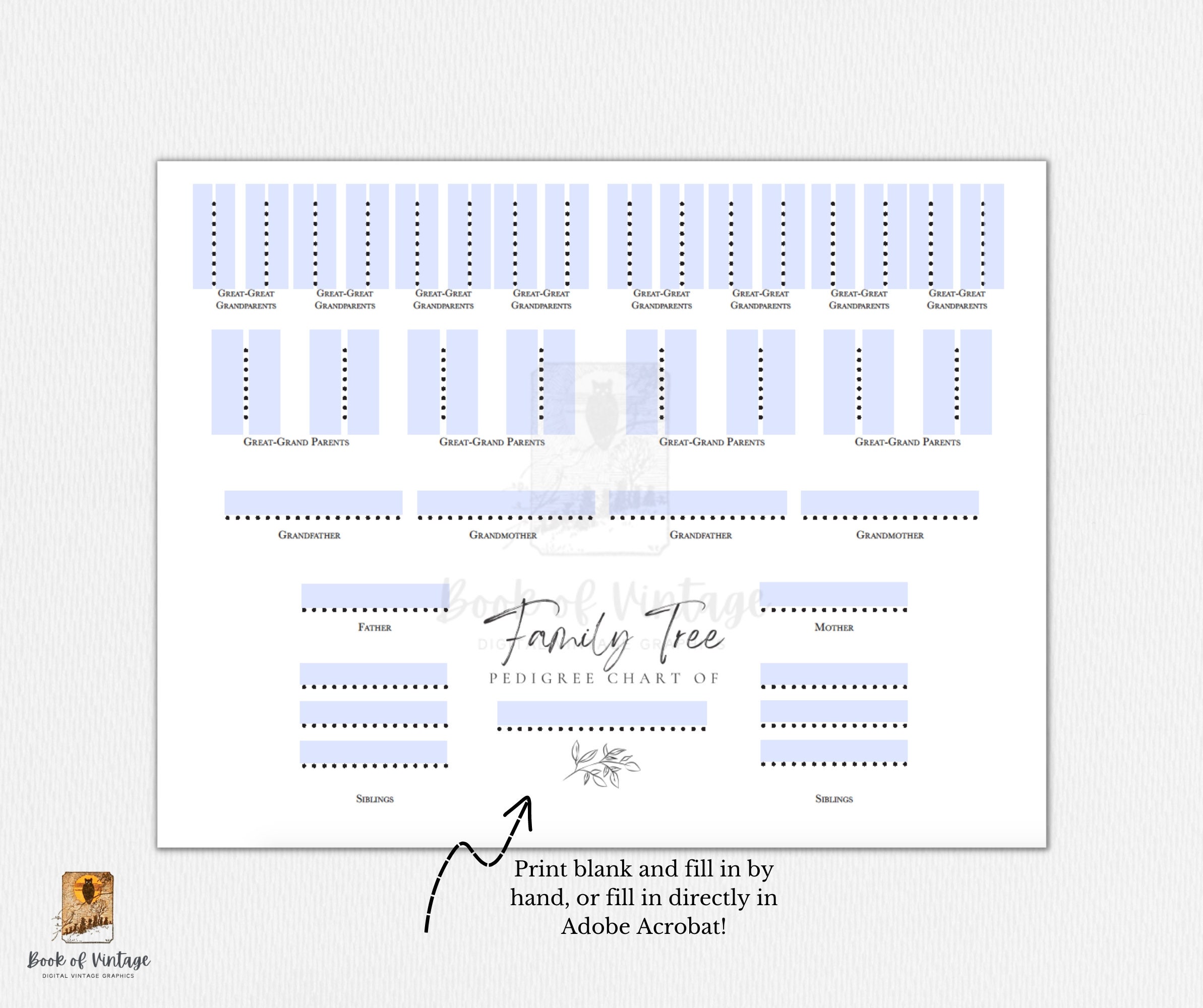 2 Fillable 5 Generation Family Tree Chart With Modern Design for ...