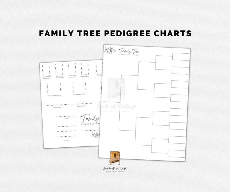 2 Fillable 5 Generation Family Tree Chart With Modern Design for ...
