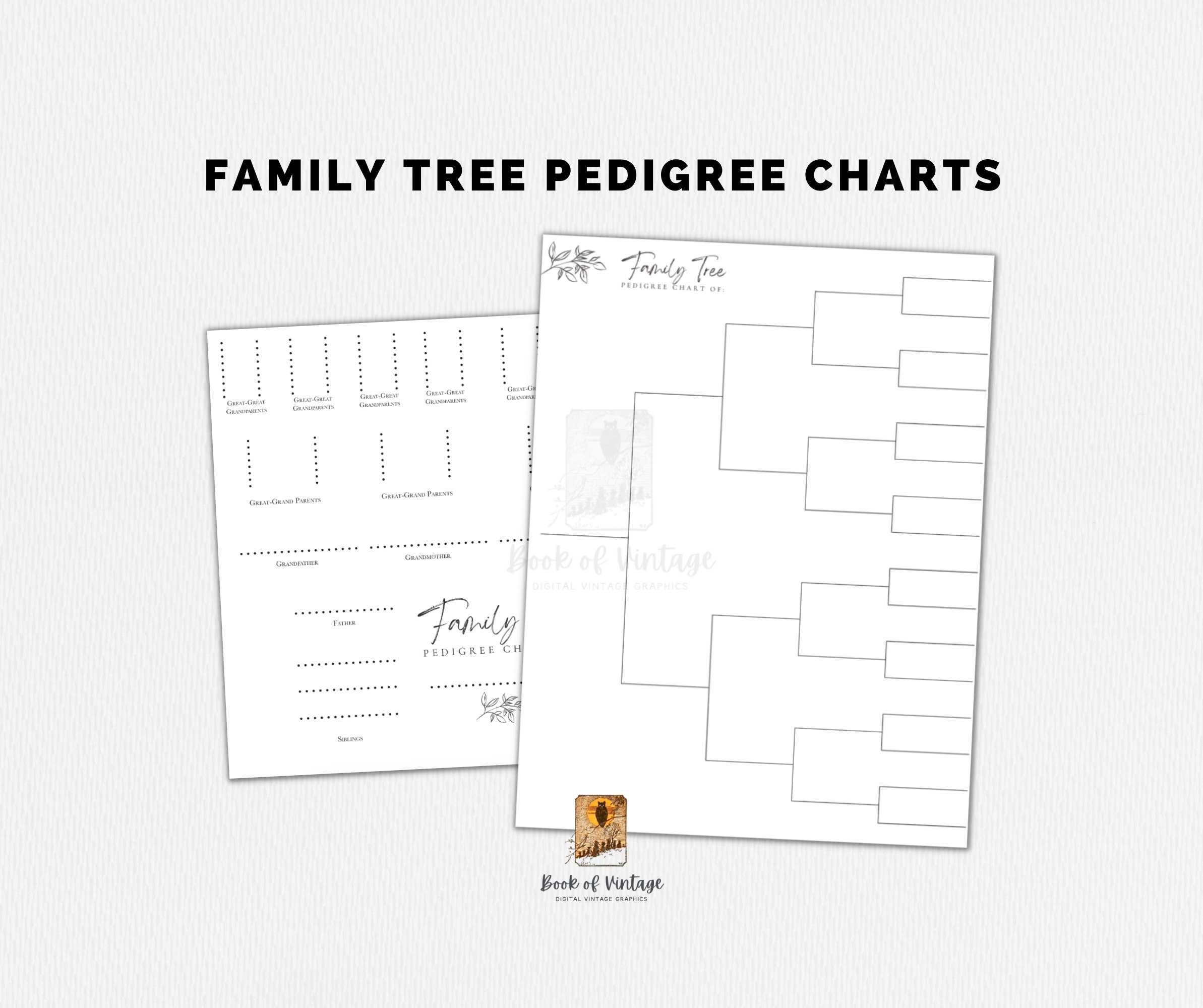 2 Fillable 5 Generation Family Tree Chart With Modern Design for ...