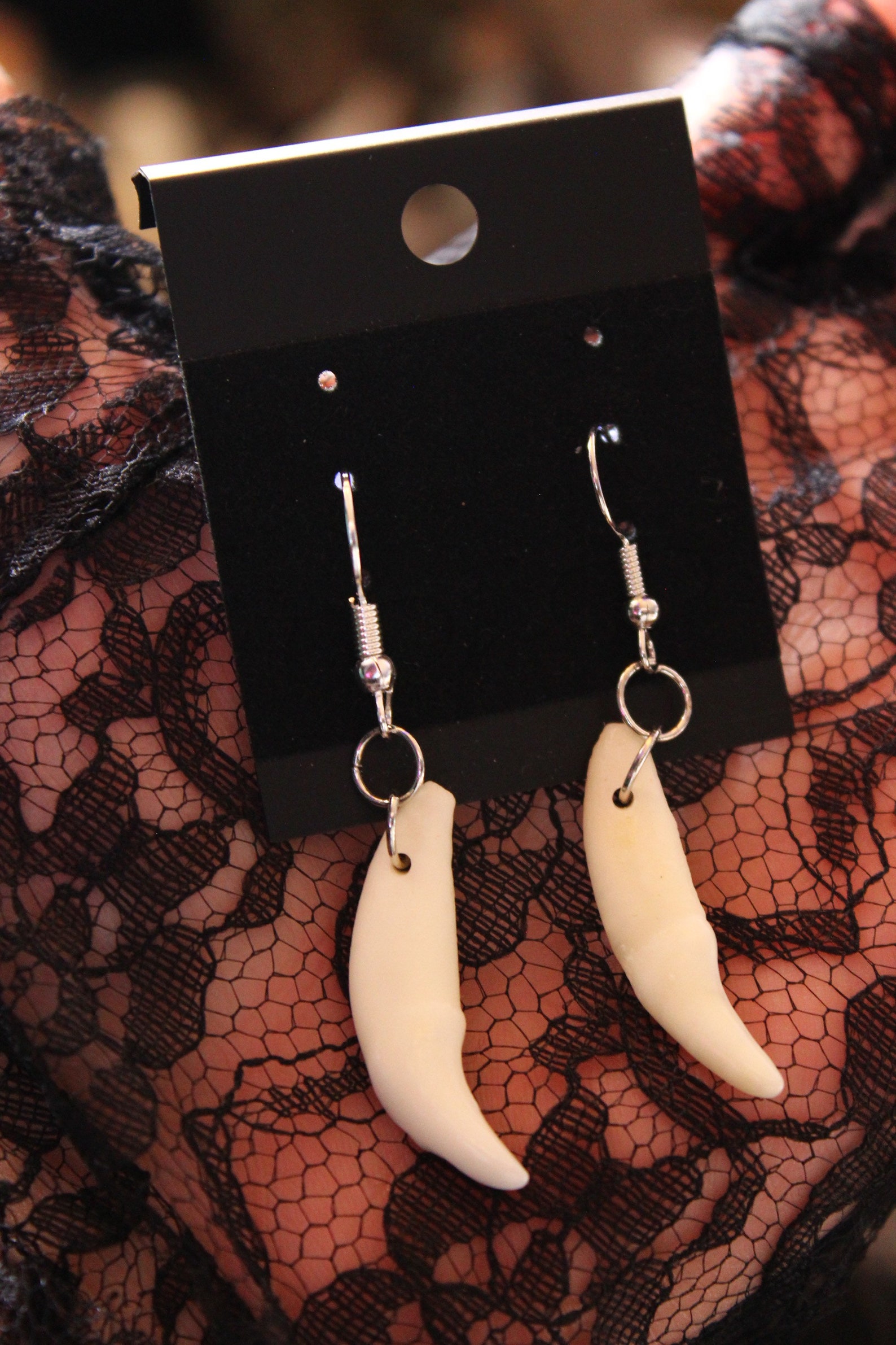 Real Coyote Fang Earrings Forestcore Fangs | Etsy