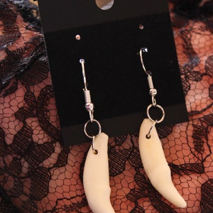 Real Coyote Fang Earrings Forestcore Fangs - Etsy