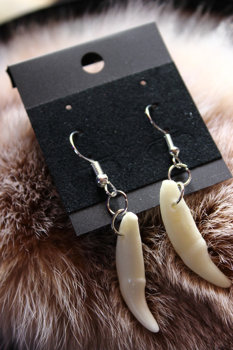 Real Coyote Fang Earrings Forestcore Fangs - Etsy
