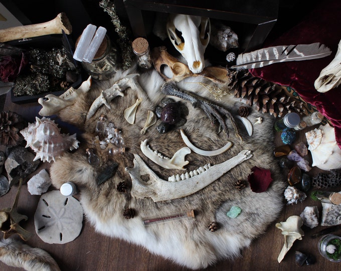 Bone Skulls and Oddities Mystery Bag - Etsy