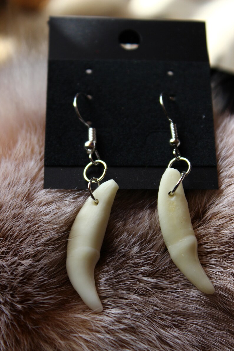 Real Coyote Fang Earrings Forestcore Fangs - Etsy