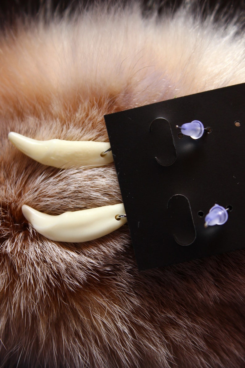 Real Coyote Fang Earrings Forestcore Fangs | Etsy
