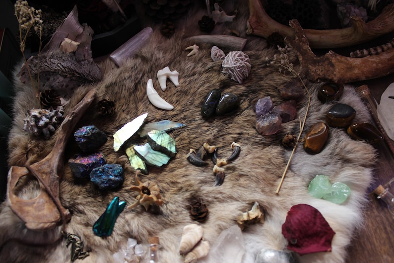 Mini Oddity Mystery Box Bone Forest Box Bone Box - Etsy