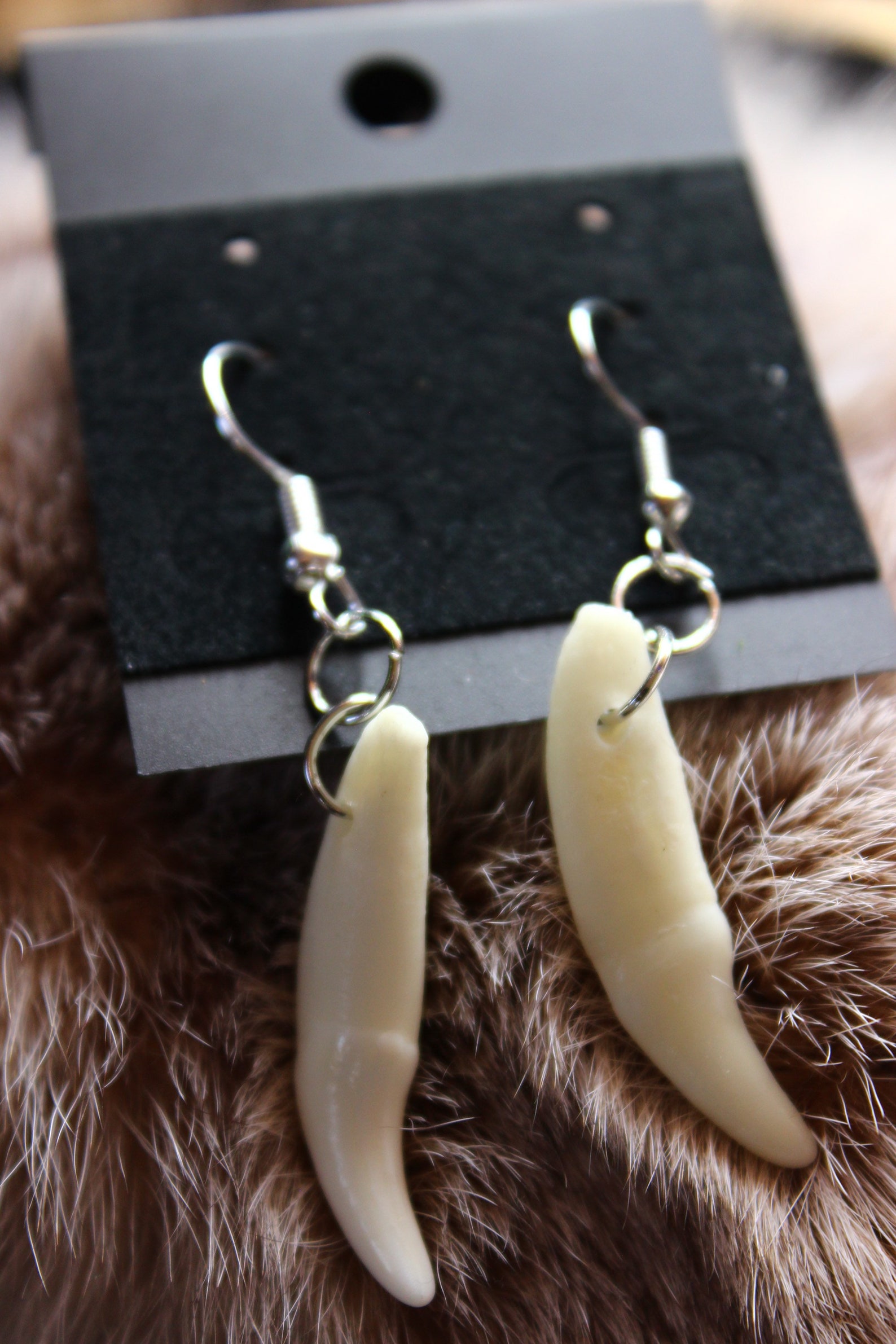 Real Coyote Fang Earrings Forestcore Fangs - Etsy