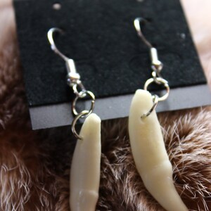 Real Coyote Fang Earrings Forestcore Fangs - Etsy