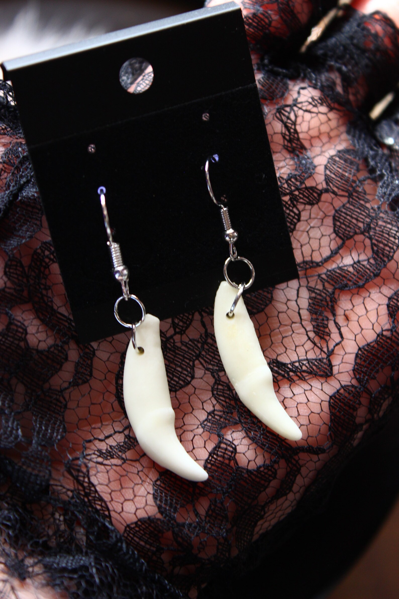 Real Coyote Fang Earrings Forestcore Fangs | Etsy