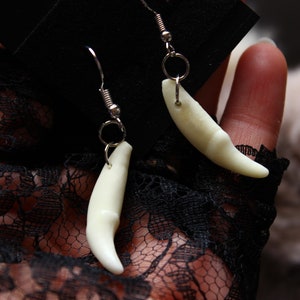 Real Coyote Fang Earrings Forestcore Fangs | Etsy