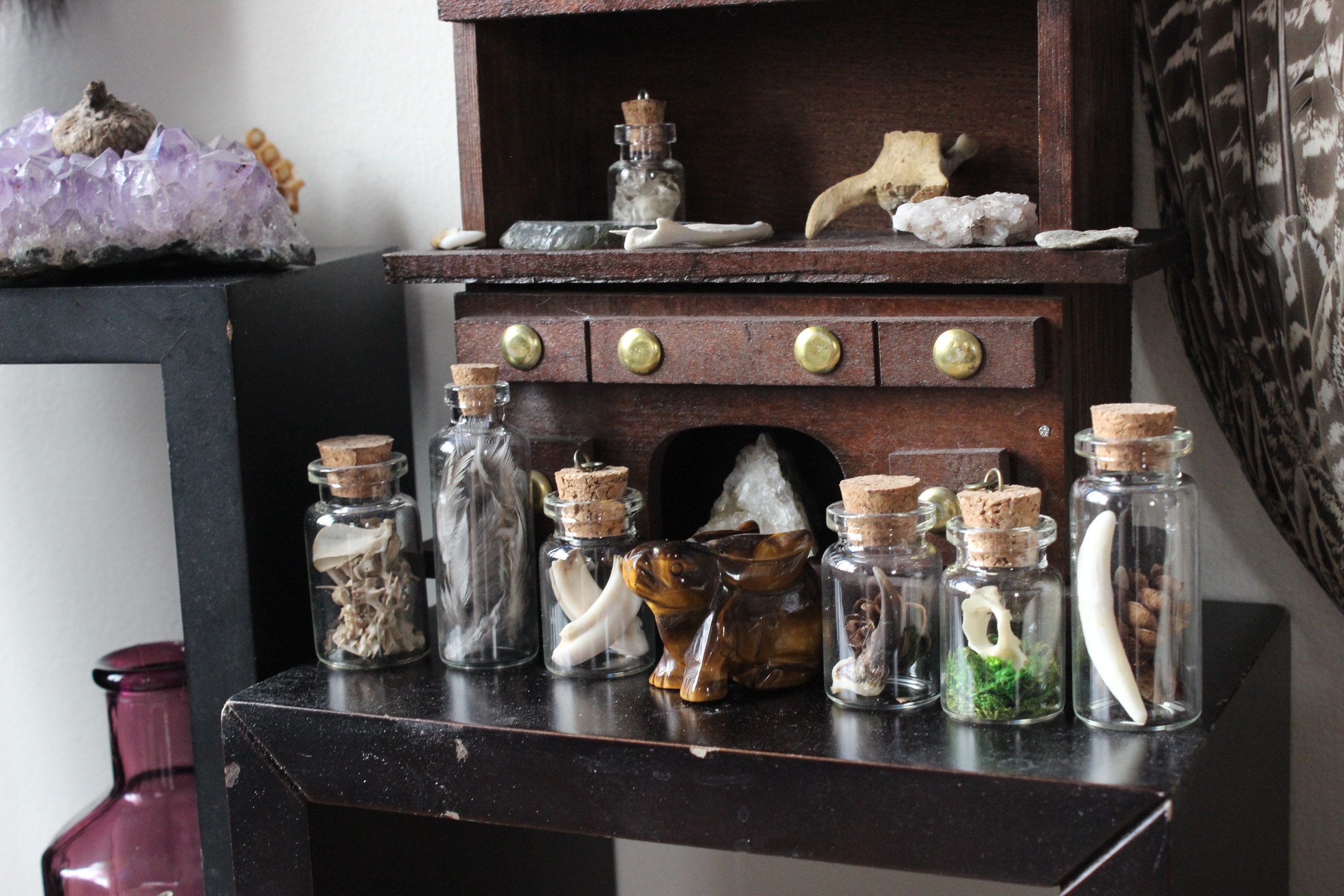 Oddities Mystery Box | Vulture Culture Curiosities | Skull Box | Forest ...