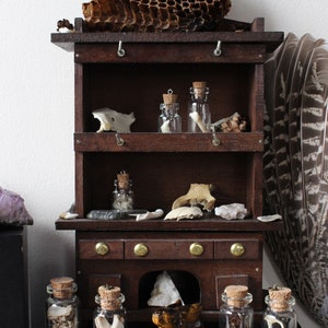 Mini Oddity Mystery Box | Bone Forest Box | Bone Box | - Etsy