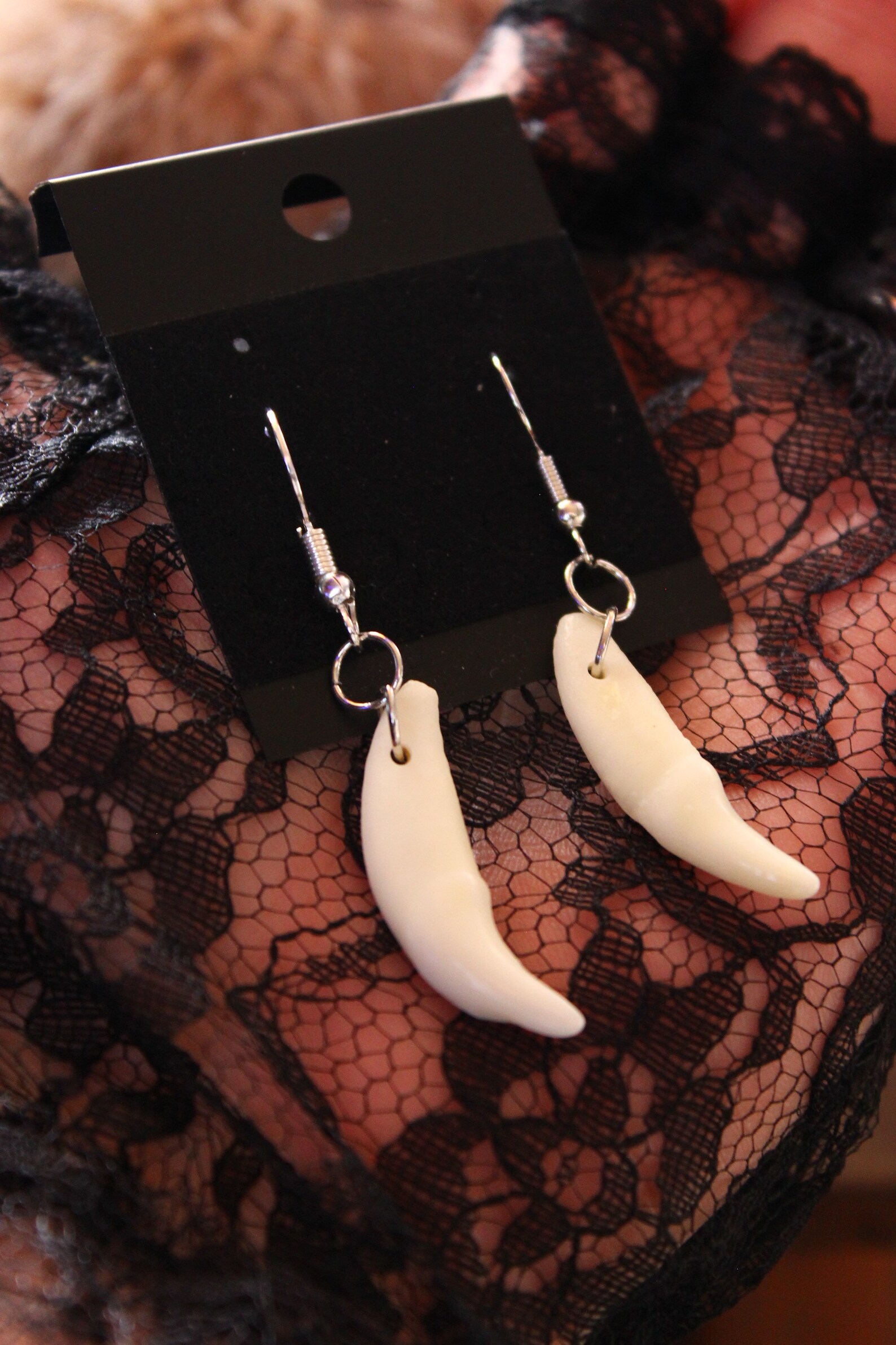 Real Coyote Fang Earrings Forestcore Fangs - Etsy