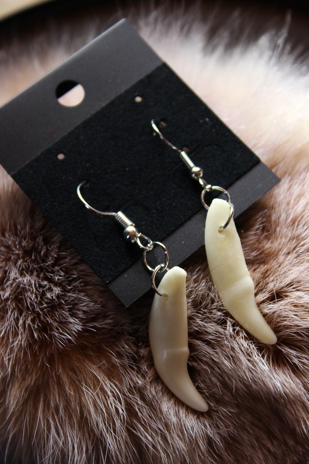 Real Coyote Fang Earrings Forestcore Fangs - Etsy