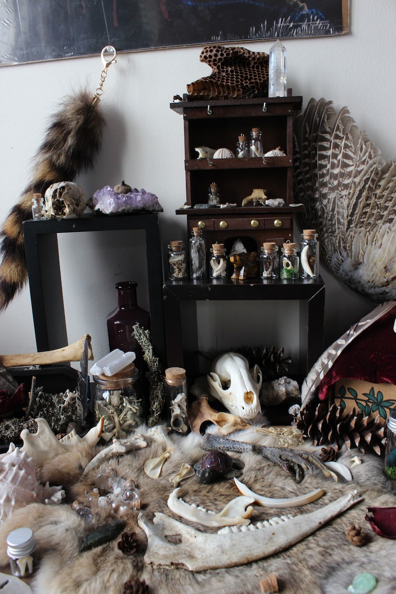 Mini Oddity Mystery Box Bone Forest Box Bone Box - Etsy