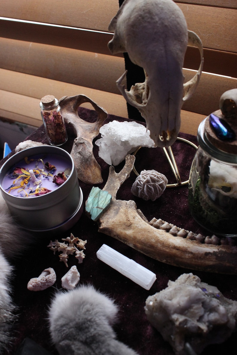 Mini Oddity Mystery Box Bone Forest Box Bone Box - Etsy