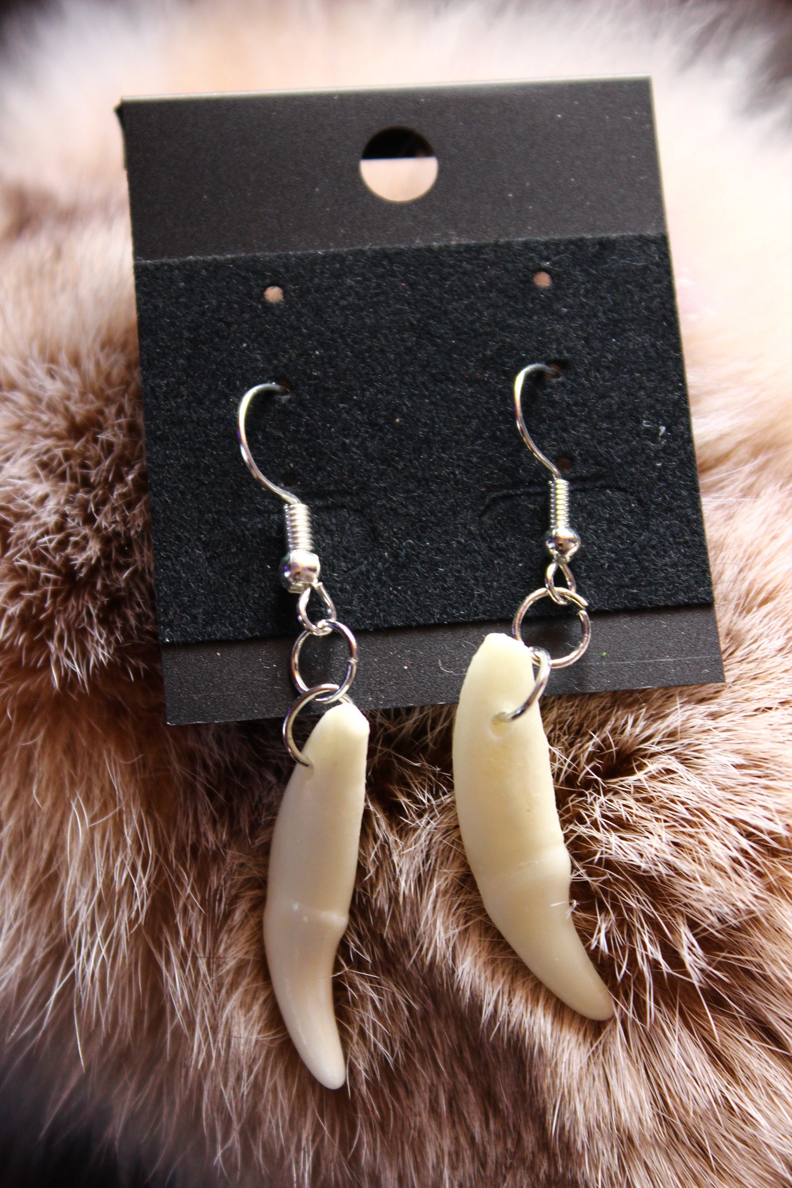 Real Coyote Fang Earrings Forestcore Fangs | Etsy