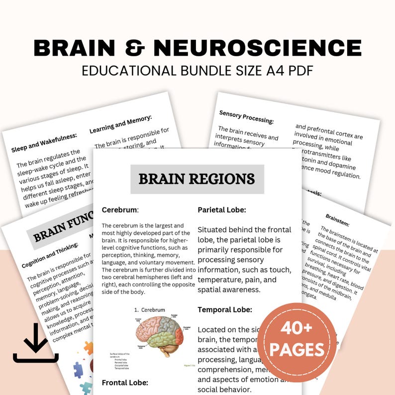 Brain & Neuroscience Therapy Bundle – Comprehensive Psychoeducation ...