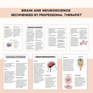 Brain & Neuroscience Therapy Bundle – Comprehensive Psychoeducation ...