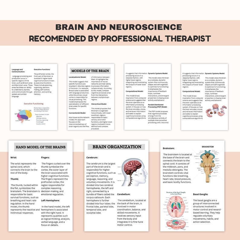 Brain & Neuroscience Therapy Bundle – Comprehensive Psychoeducation ...