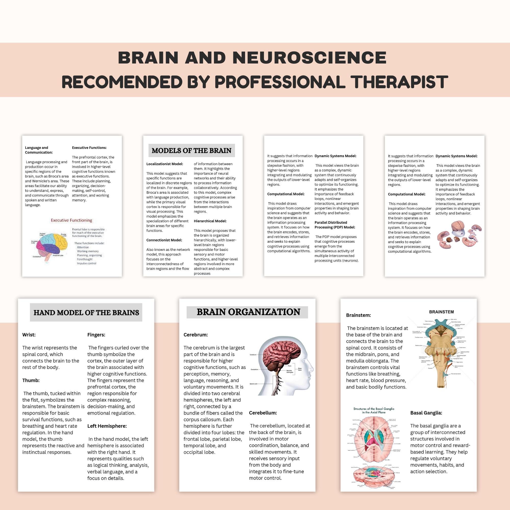 Brain & Neuroscience Therapy Bundle – Comprehensive Psychoeducation ...