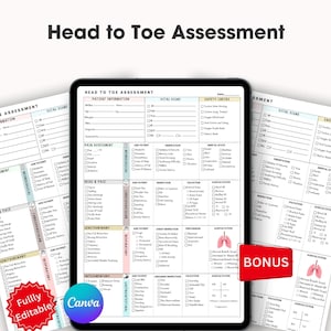 Editable Head to Toe Assessment Template, Head to Toe Nursing Student ...