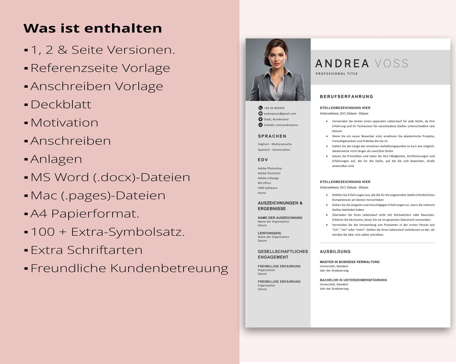Application Template, Resume Template, German CV, Application Templates ...