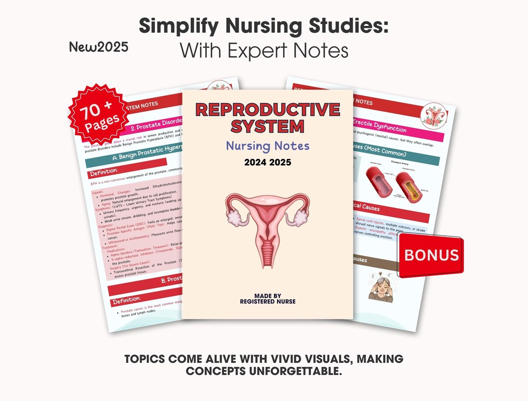 Reproductive System Nursing Notes, Med Surg Reproductive System ...