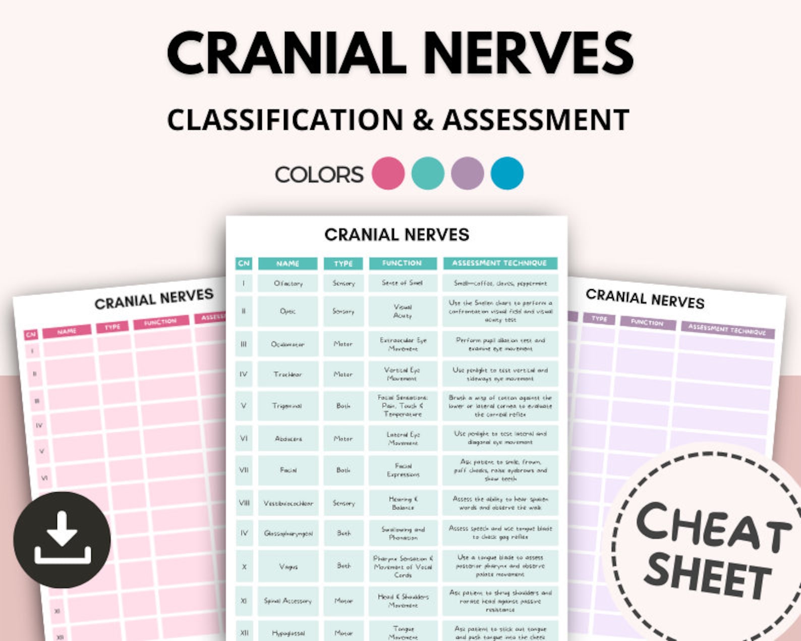 Cranial Nerves Cheat Sheet, Cranial Nerves Study Template, Nursing ...