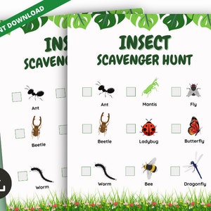 Insect Scavenger Hunt Game, Fun Backyard Scavenger Hunt, Bug Treasure ...