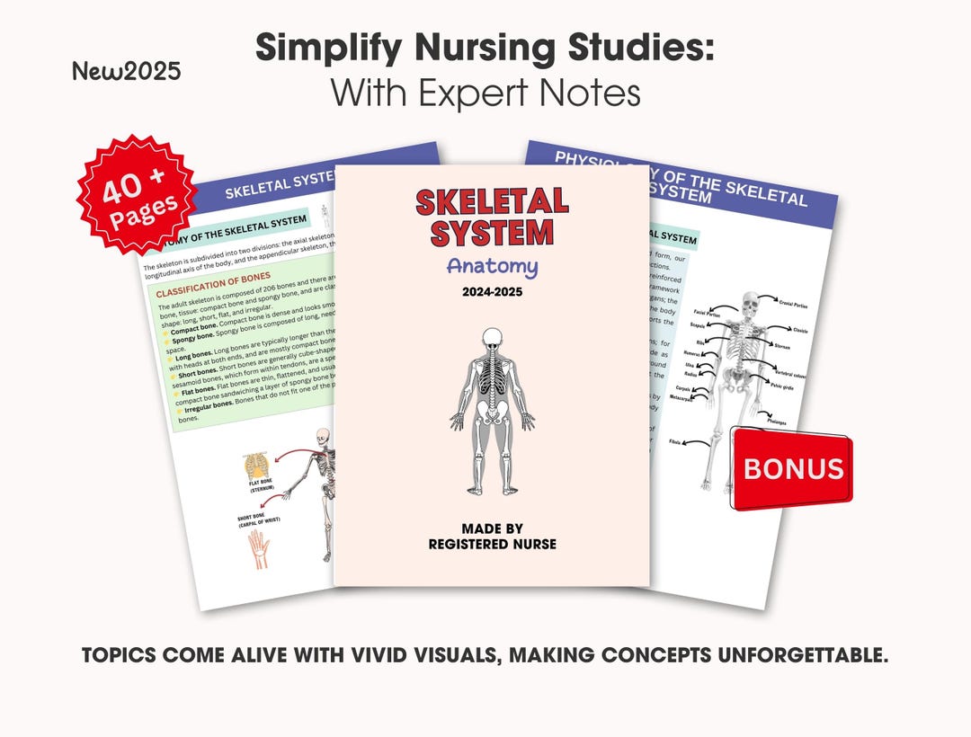 Skeletal System Anatomy Guide, Intro to Skeletal System, Human Skeletal ...