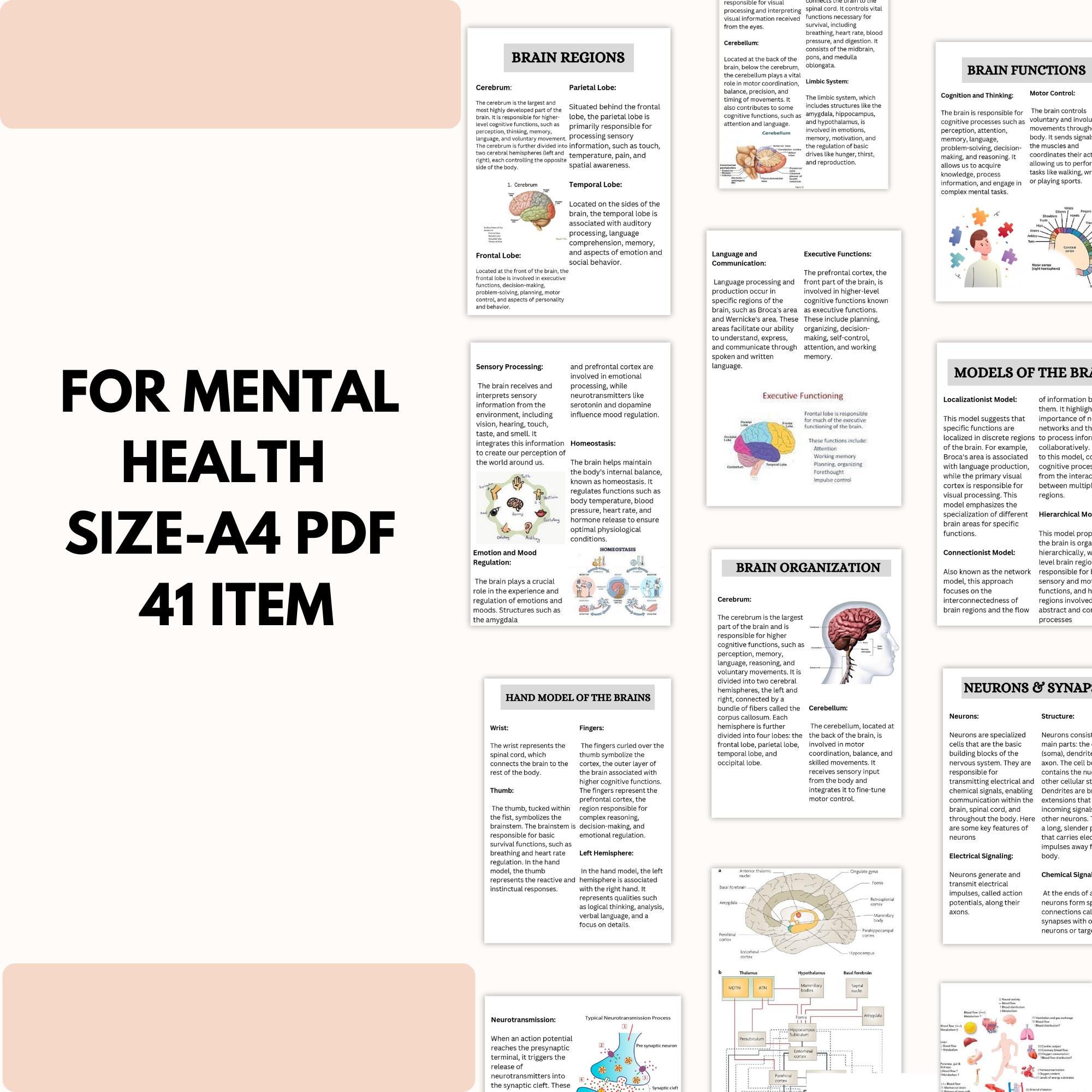 Brain & Neuroscience Therapy Bundle Comprehensive Psychoeducation ...
