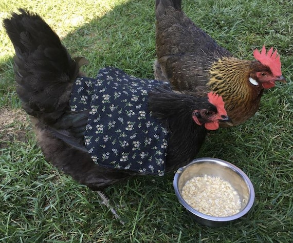 Chicken Saddle With Wing Cover - Etsy