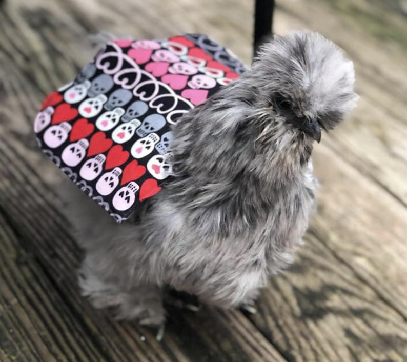 Chicken Saddle With Wing Cover - Etsy