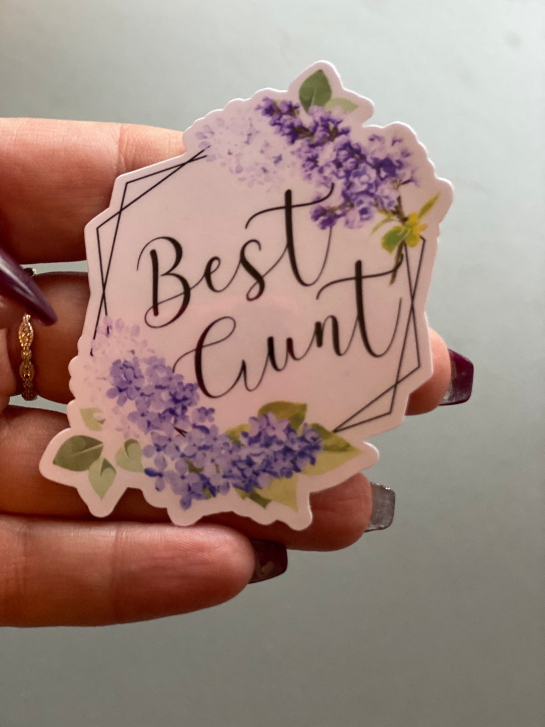 Best Aunt Sticker for Laptop, White Elephant Gifts Funny Gifts for ...