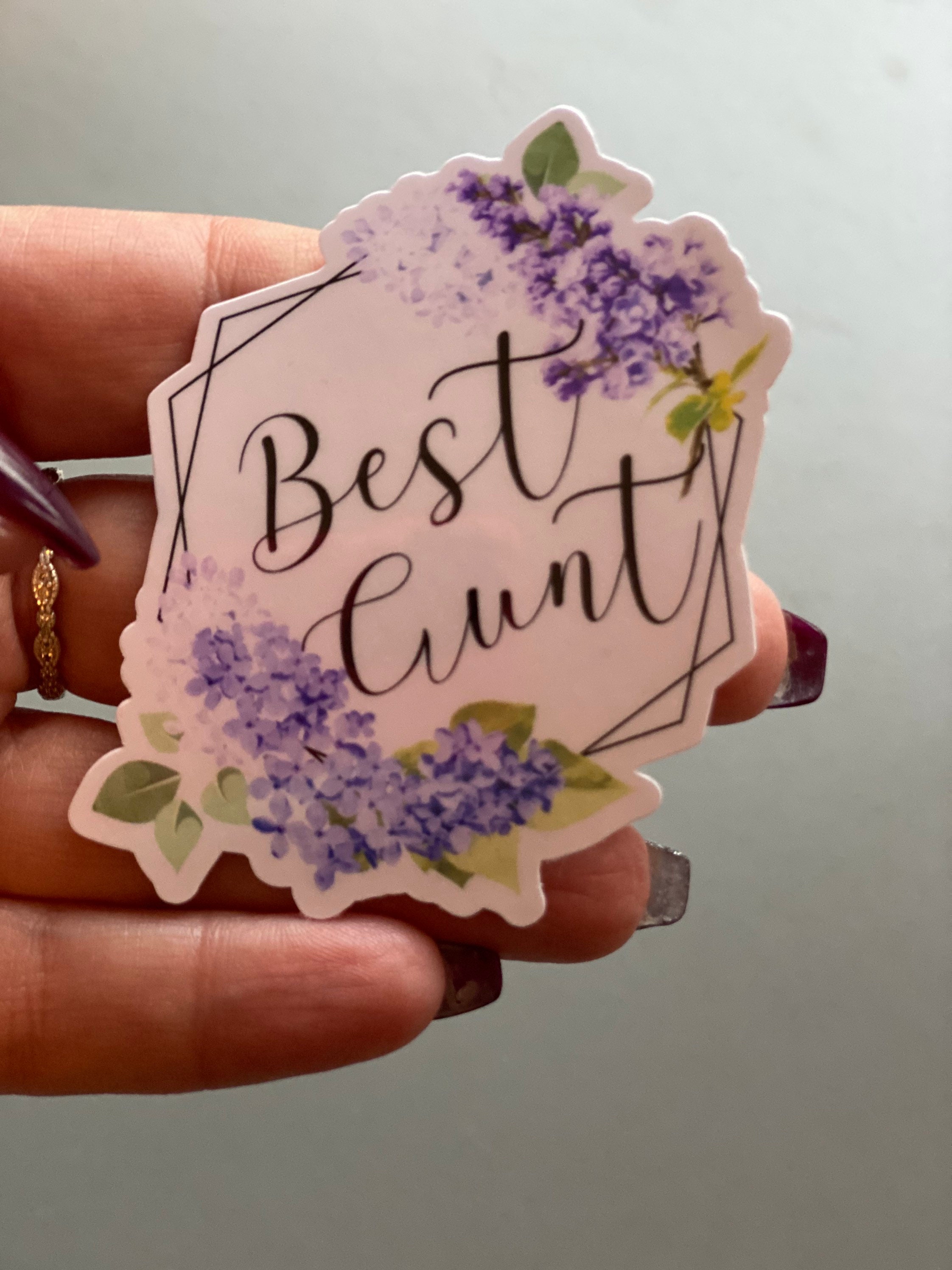 Best Aunt Sticker for Laptop, White Elephant Gifts Funny Gifts for ...