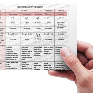 Normal Labor Progression Poster| Childbirth Education| Doula - Etsy