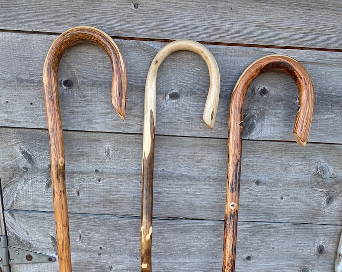 Shrub Cane, Shepherd's Cane, Hardwood Staff, Bent Handle Walking Cane ...