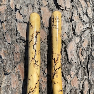 Fractal Burned Lightning Walking Stick, Lichtenberg Fractal Burning ...