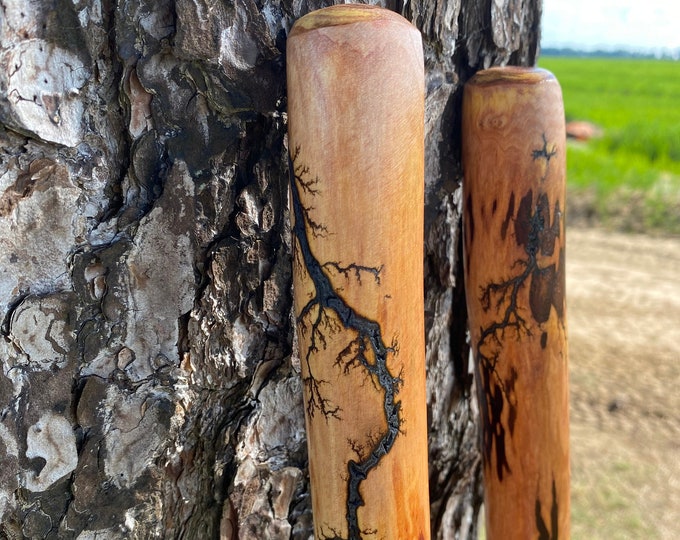 Fractal Burned Lightning Walking Stick, Lichtenberg Fractal Burning ...