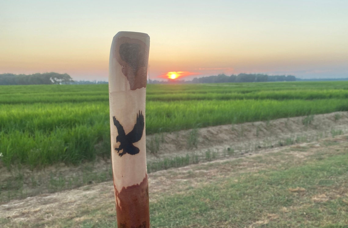 Burned Eagle Hiking Stick, Hardwood Walking Stick, Rubber Tip - Etsy