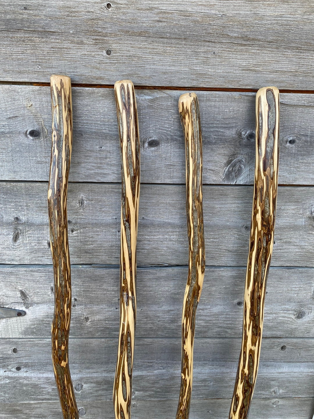 Ironwood Hiking Stick, Ozark Ironwood Walking Stick, Unique Hiking ...