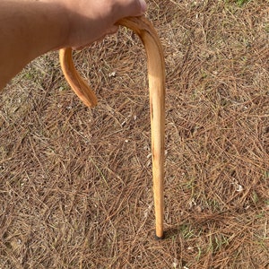 Shepherd's Crook, Shepherd’s Staff, Stockman’s Cane, Solid Oak Steam ...