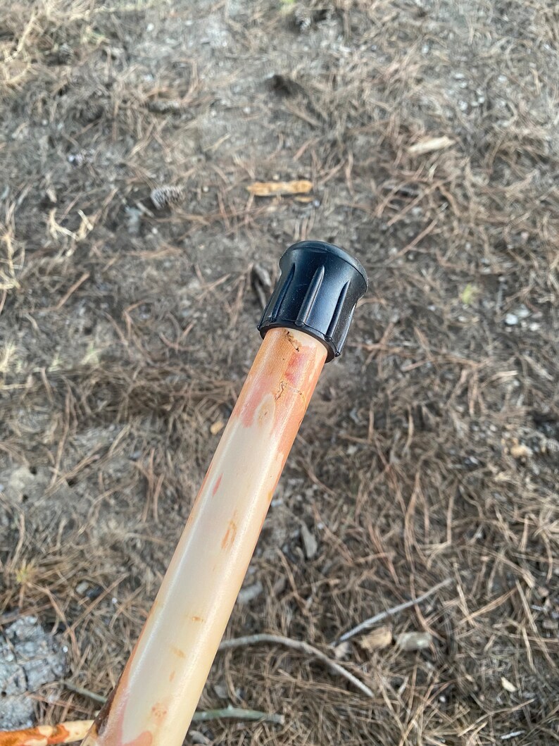 Eagle Hiking Stick, Bald Eagle Walking Stick, America’s Walking Stick ...