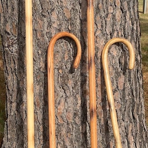 Shepherd's Crook, Shepherd’s Staff, Stockman’s Cane, Solid Oak Steam ...