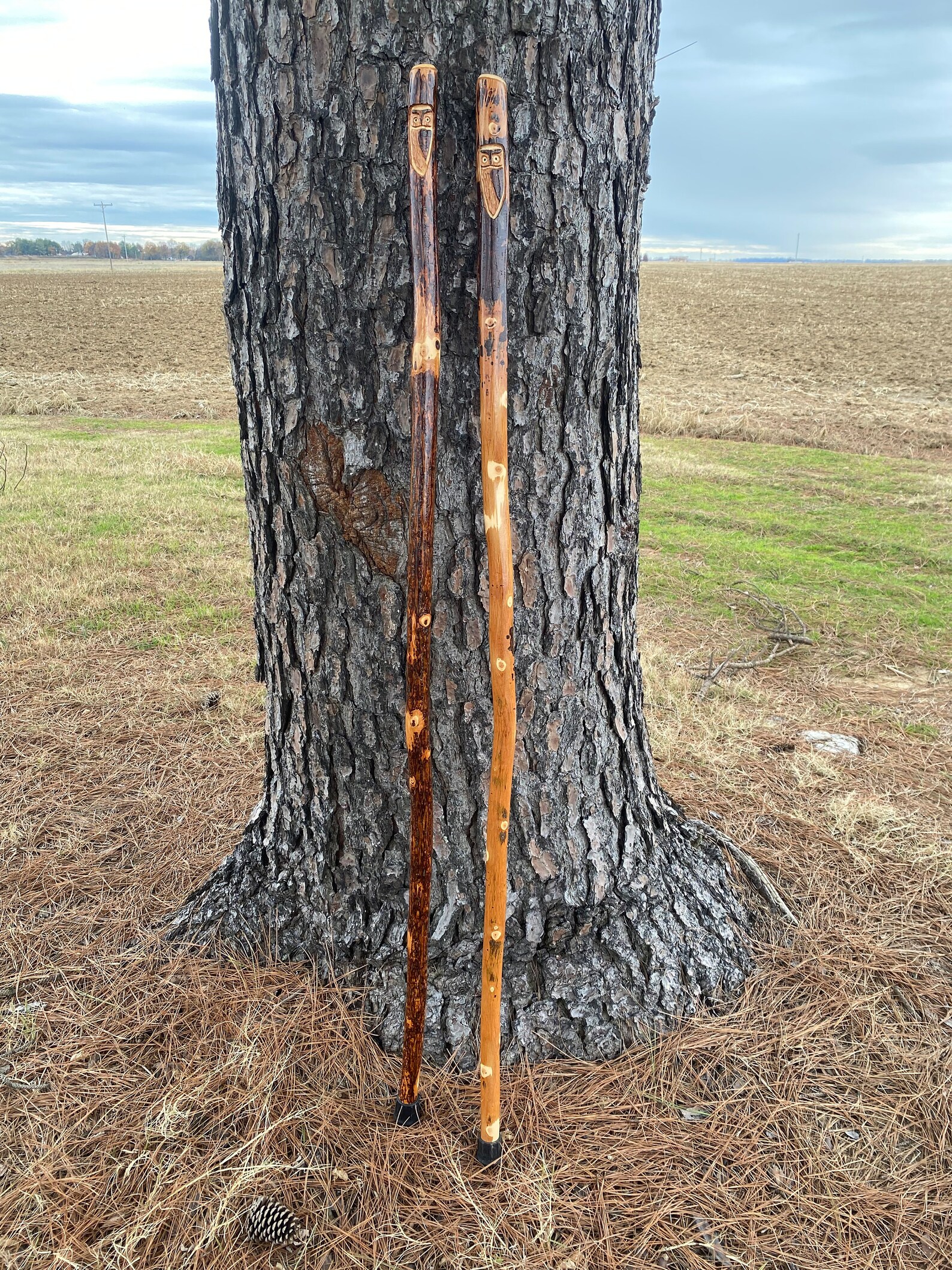 Owl Walking Stick, Hand Carved Owl Hiking Stick, 60" Walking Stick - Etsy