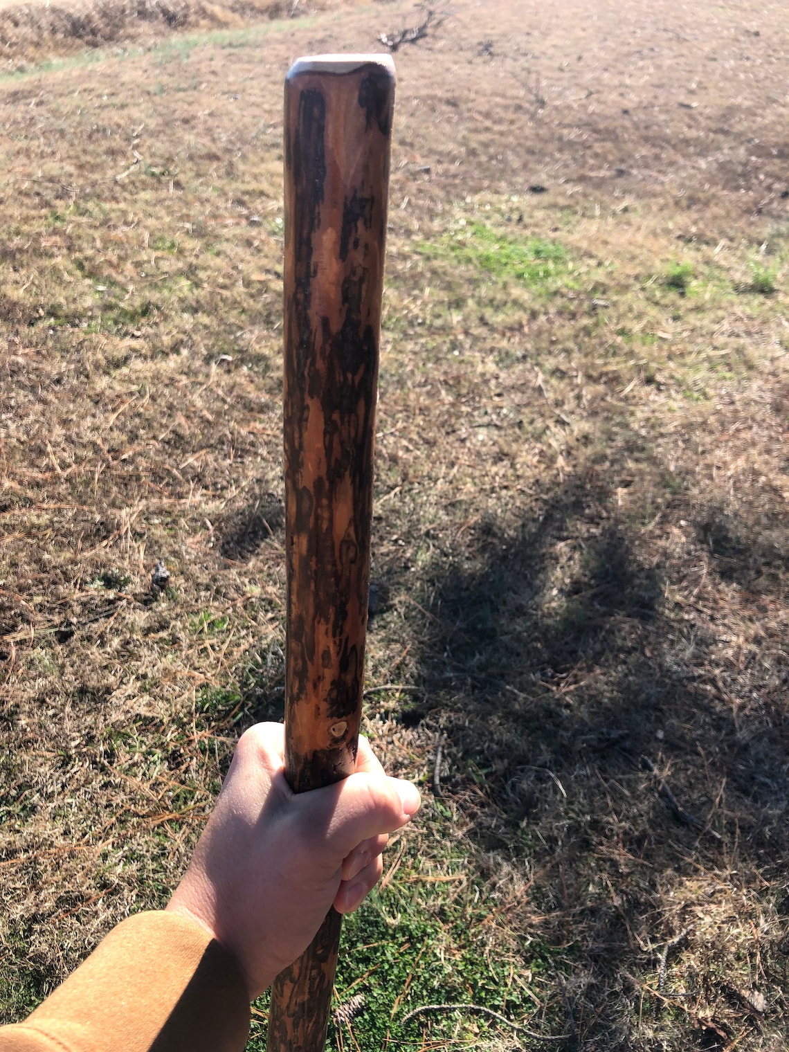 Bundles of Hiking Sticks 5 Foot Walking Stick Bundles Hiking - Etsy