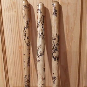Fractal Burned Lightning Walking Stick, Lichtenberg Fractal Burning ...